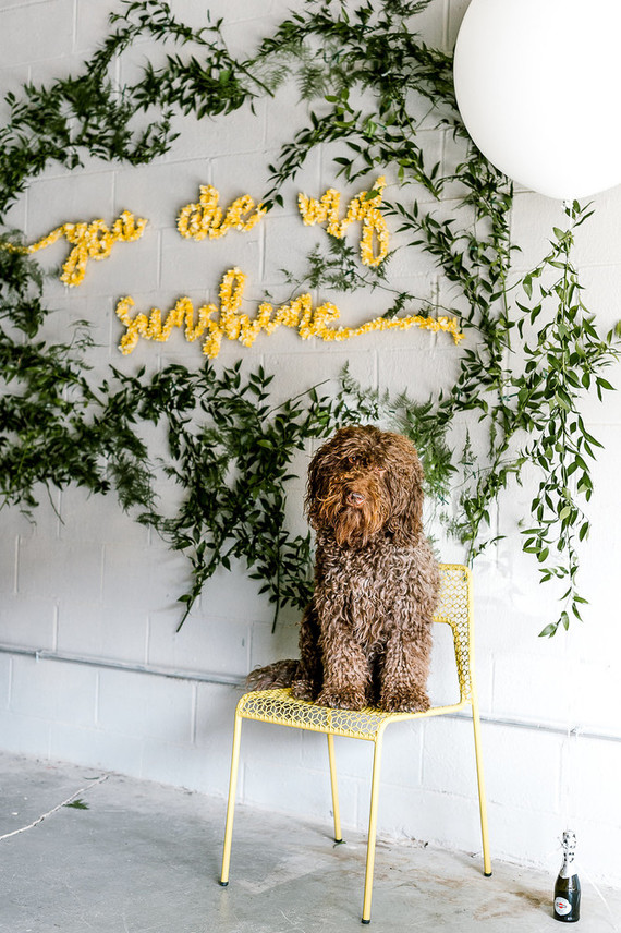 You are My Sunshine Mother's Day brunch | Wedding & Party Ideas | 100 ...