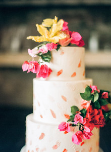 Fuchsia | Browse Wedding & Party Ideas | 100 Layer Cake