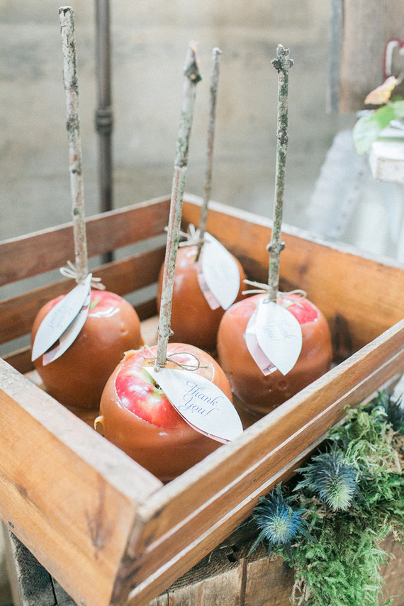 Candied apples | Wedding & Party Ideas | 100 Layer Cake