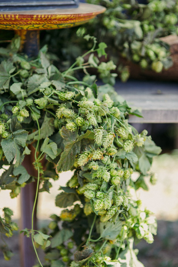 hops for wedding flowers | Wedding & Party Ideas | 100 Layer Cake