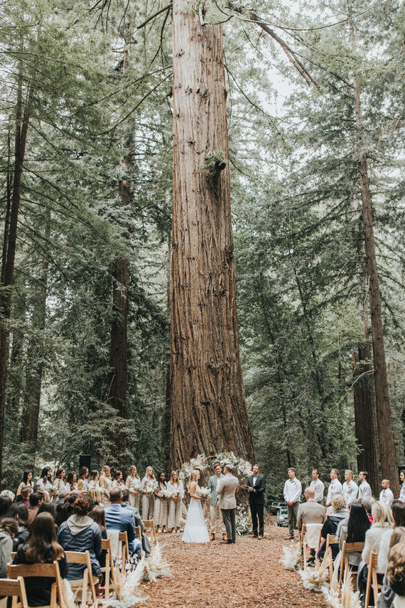 Redwood ceremony | Wedding & Party Ideas | 100 Layer Cake