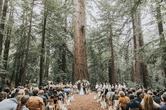 Redwood ceremony | Wedding & Party Ideas | 100 Layer Cake
