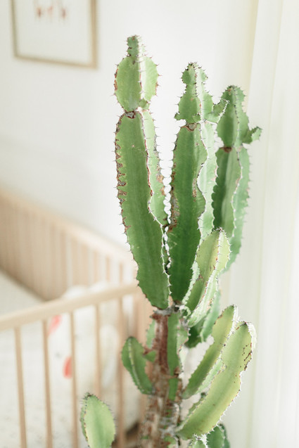 Earthy pastel girl's nursery | Browse Wedding & Party Ideas | 100 Layer ...